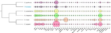 Phylogenetic Tree With Bubble Plot Showing The Comparison Of All The Download Scientific