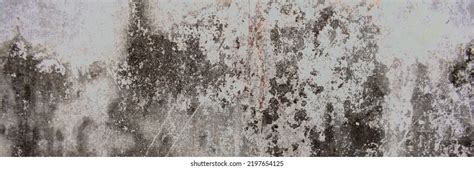 수평 콘크리트 텍스처 벽 배경 시멘트 스톡 일러스트 2197654125 Shutterstock