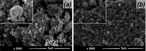 SEM Images Of HT A And MHT B Download Scientific Diagram