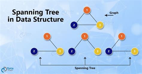 An Image Of A Tree With Numbers On It And The Words Spamming Tree In