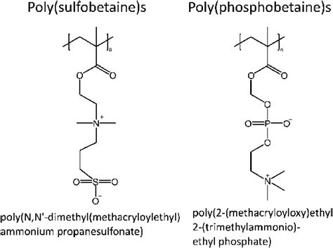 Zwitterionic Polymer