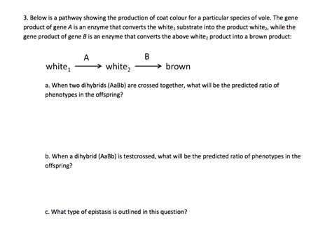 Solved 1 A Woman With Type A Blood Parents A And O Chegg Com