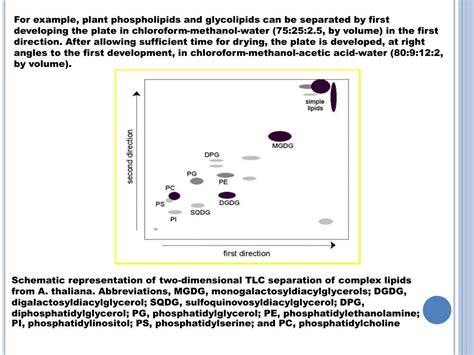 PPT THIN LAYER CHROMATOGRAPHY PowerPoint Presentation Free Download ID