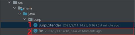 Burp Unexpected Information Mysticbinary
