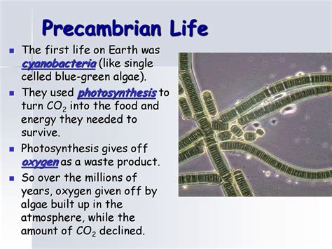 Chapter 15 The Atmosphere Ppt Download