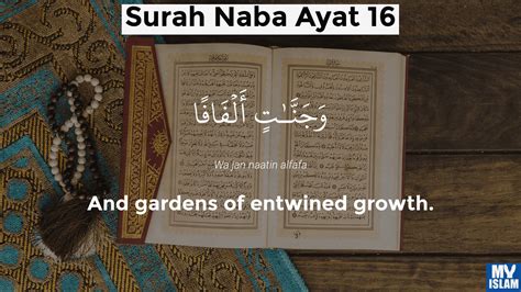 Surah Naba Ayat 16 7816 Quran With Tafsir My Islam