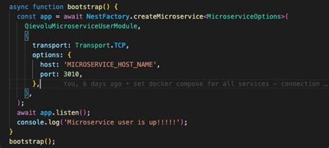 Nodejs Nestjs Microservice Issue With Docker Stack Overflow