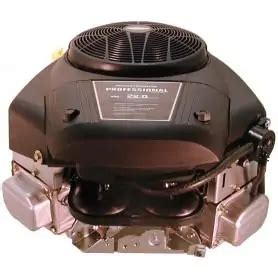 Briggs & Stratton Motor