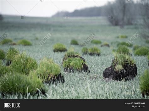 Earth Bumps On Which Image And Photo Free Trial Bigstock