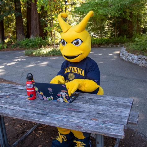 How To Add A Network Printer On Windows Via Ip Address Or Hostname