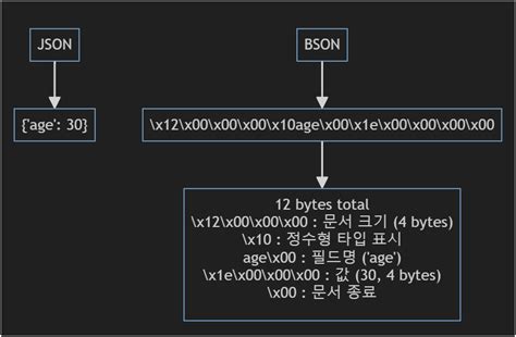Bson 이 뭐야