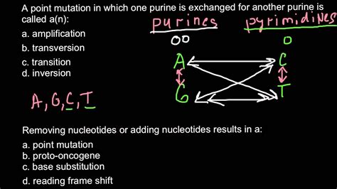 Transition And Transversion What Is The Difference Youtube