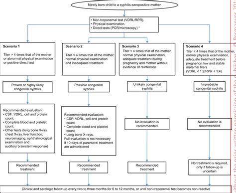 Algorithm Relative To The Newborn Adapted From Sexually Transmitted