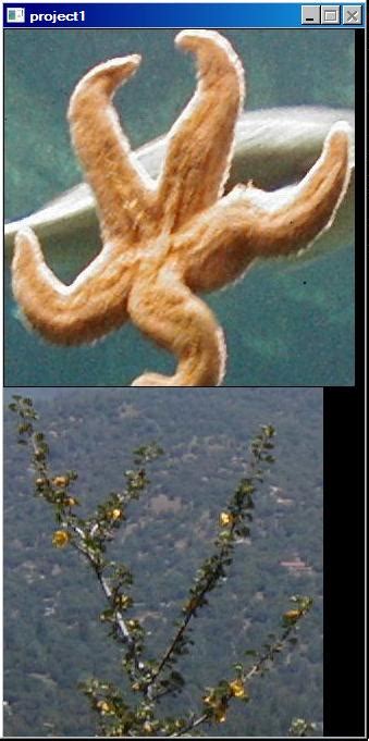 Graphics Programming Using Allegro And C By Richard G Baldwin