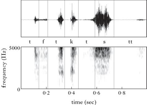 Acoustic Waveform And Spectrogram Of [tftktstt] You Sprained It Fem Download Scientific
