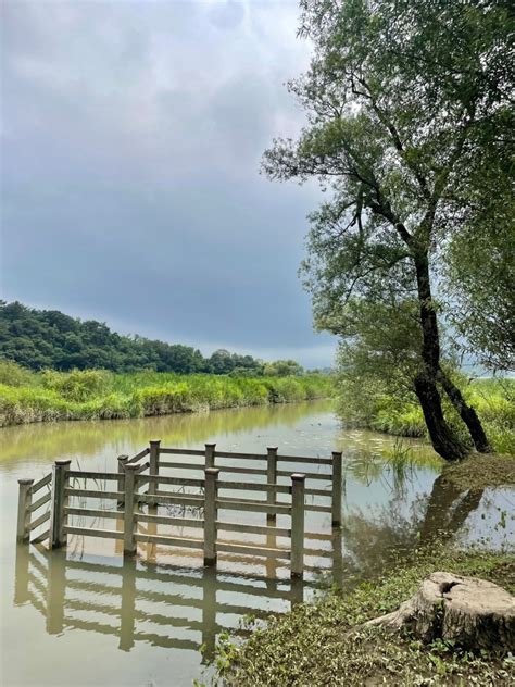 화포천습지 생태공원에서 즐기는 체험 프로그램 네이버 블로그