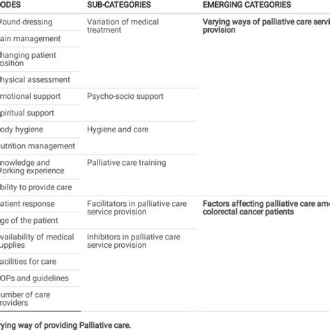 Summary Of The Emerging Codes Sub Categories And Emerging Categories