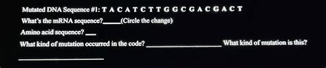 Solved Mutated Dna Sequence 1 T A C T C T T G G A G A