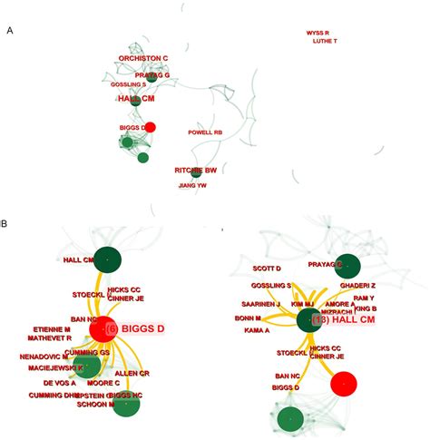 Co Occurrence Analysis Of Authors A Top 10 Authors In Terms Of Download Scientific Diagram
