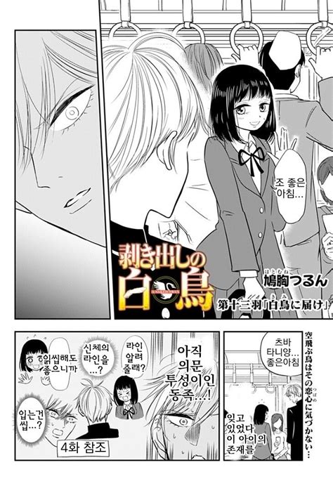 시스콤 오빠가 여동생을 지키려고 노출 배틀을 신청하는 정신나간 만화 manhwa 유머 움짤 이슈 에펨코리아