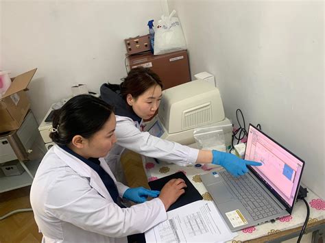 Мал аж ахуйн эдийн засгийн эргэлтийг нэмэгдүүлэх төсөл Хэнтий аймгийн Мал эмнэлгийн