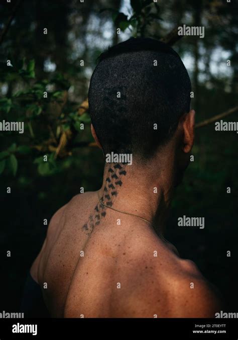 Gay Naked Man In Forest Stock Photo Alamy