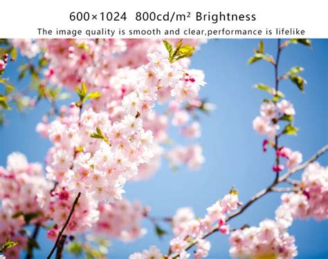 Inch X TFT LCD Screen MIPI Interface Industrial Highlight Car Display YOURITECH