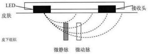 Heart Rate Detection Method And Device Eureka Patsnap