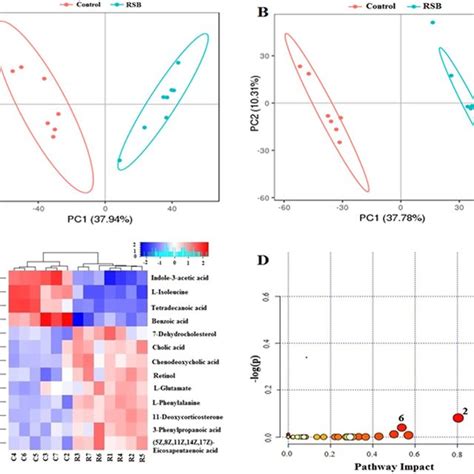 Multivariate Statistical Analysis Heat Map And Summary Of Metabolome