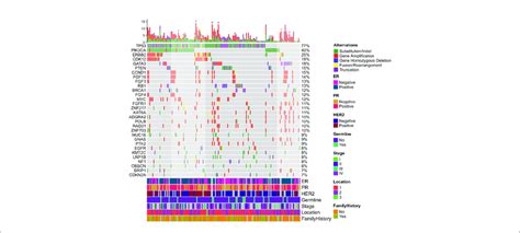 Mutational Landscape Of Breast Cancer Five Types Of Mutations Are Download Scientific