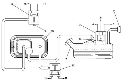 Gm Evap System Diagram