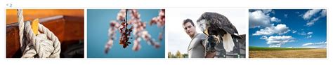 Jquery Unable To Set Image For Bxslider Nextprev Controls Stack