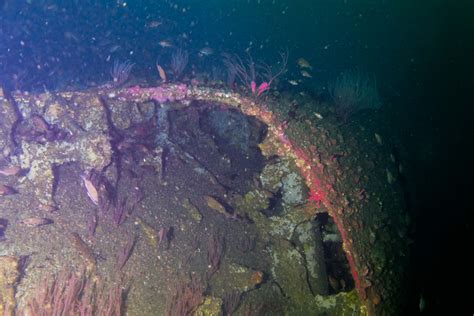 ub88-hull – Wrecked in my rEvo