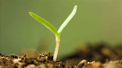 Experts Say To Only Use Homemade Compost After Testing It With This