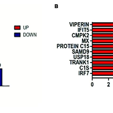 Transcriptomic Analysis Of Differential Gene Expression In Def Cells
