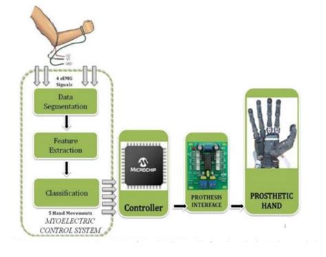 Figure From Electromyography EMG Based Classification Of Finger Movements Using SVM