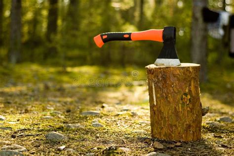 Axe And Log Stock Photo Image Of Wood Blade Work Tourism 10828178