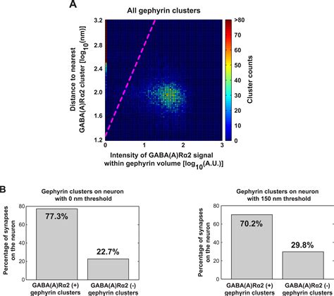 Mapping Synaptic Input Fields Of Neurons With Super Resolution Imaging Cell