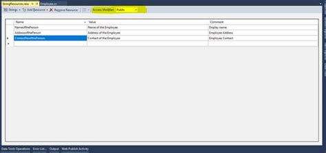 ASP NET MVC Using Resource Files To Manage String Constants