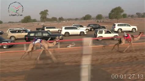 الشوط17 كحال للسيد مطر على بورقيبه الخاطري R17 08062024 0214