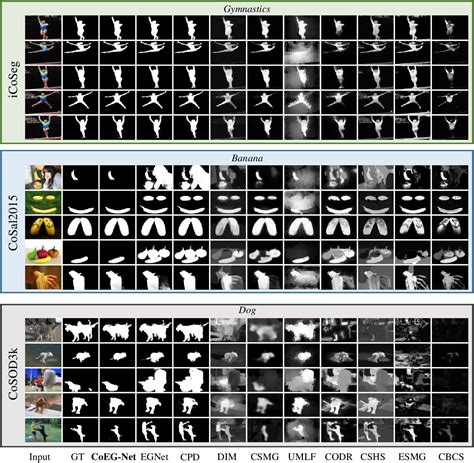 Figure 11 From Re Thinking Co Salient Object Detection Semantic Scholar