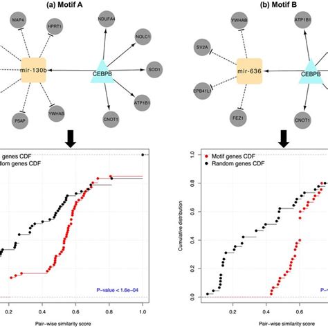 A Schematic Diagram For The Integrative Transcriptomic Workflow The Download Scientific