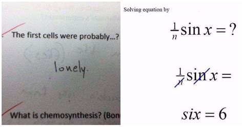 25 Wrong Test Answers That Deserve An A