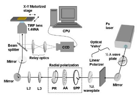 The Setup Is Based On An Inverted Microscope Configuration Optical