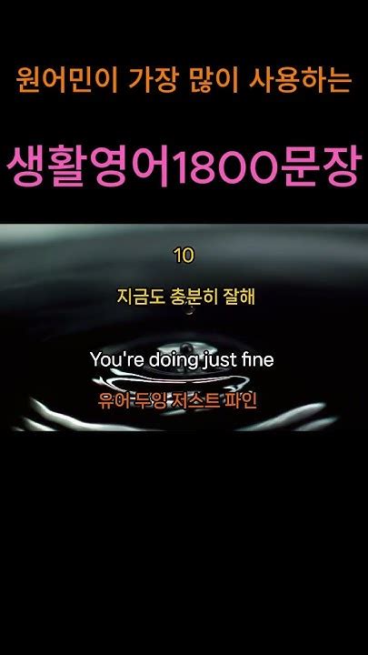 Talk Easy 짧고 쉬운 실생활영어1100문장｜기초생활영어｜수면영어｜생활영어｜기초영어｜영어말하기｜기초영어회화｜영어듣기｜영어공부｜영어발음｜영어문장｜ 영어회화 ｜영어회화