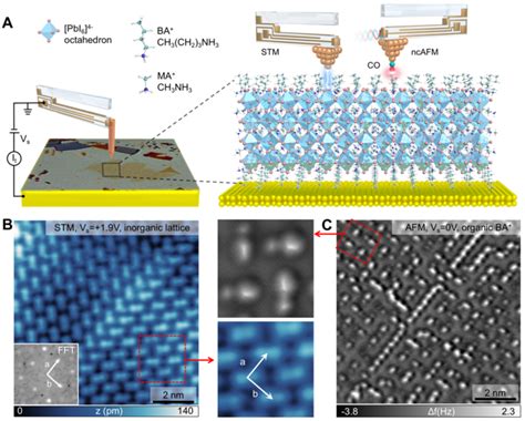 Qplus Based Stm And Ncafm Imaging Of The Rpp Surface A Schematics Download Scientific