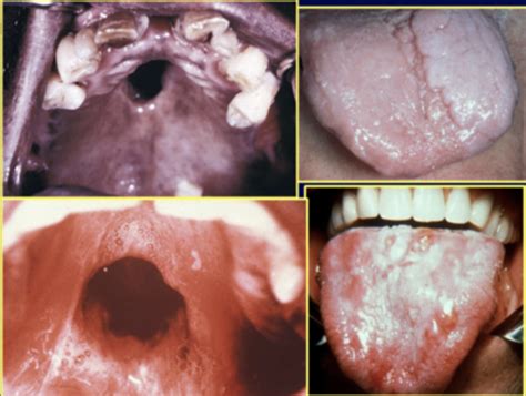 Session 1 Topics Flashcards Quizlet
