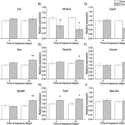 Immune Related Gene Expression In The Haemocytes Of P Scaber After