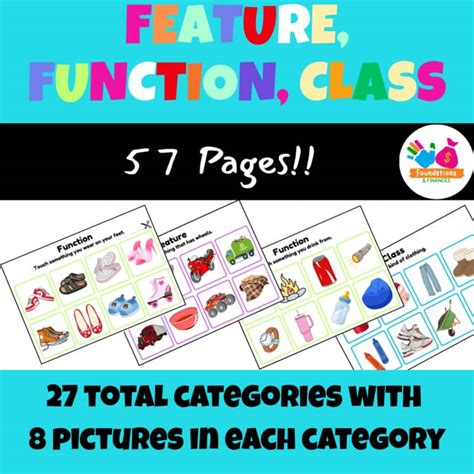 Feature Function And Class Lrffc Sorting And Assessment Bundle