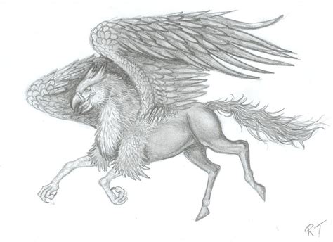 Buckbeak Harry Potter Coloring Pages Neupinavers Coloring Pages